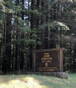 Jackson Demonstration State Forest - Fort Bragg