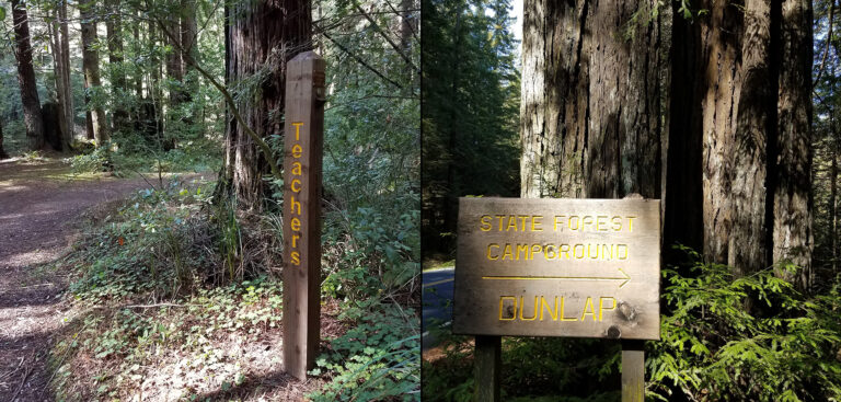 Jackson Demonstration State Forest - Fort Bragg